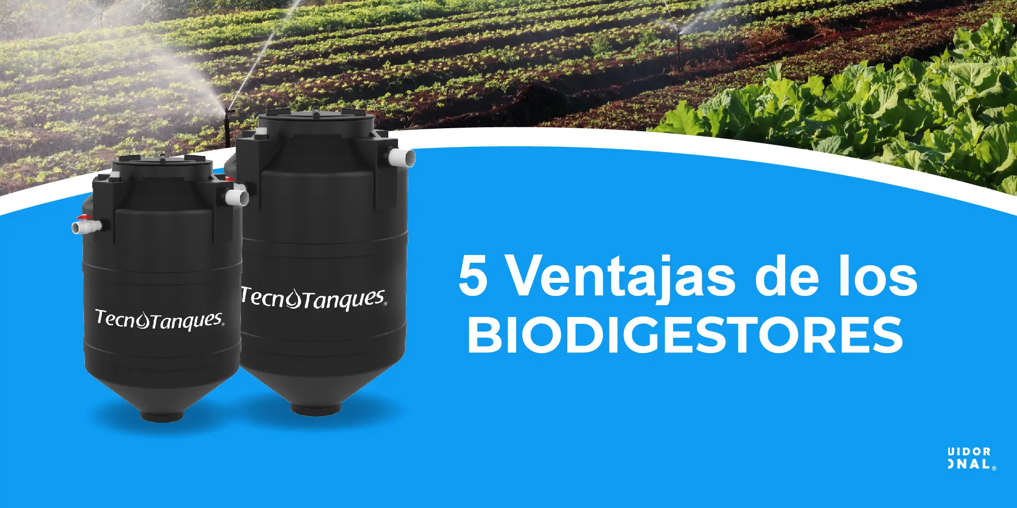 5 ventajas de los Biodigestores Tecnotanques